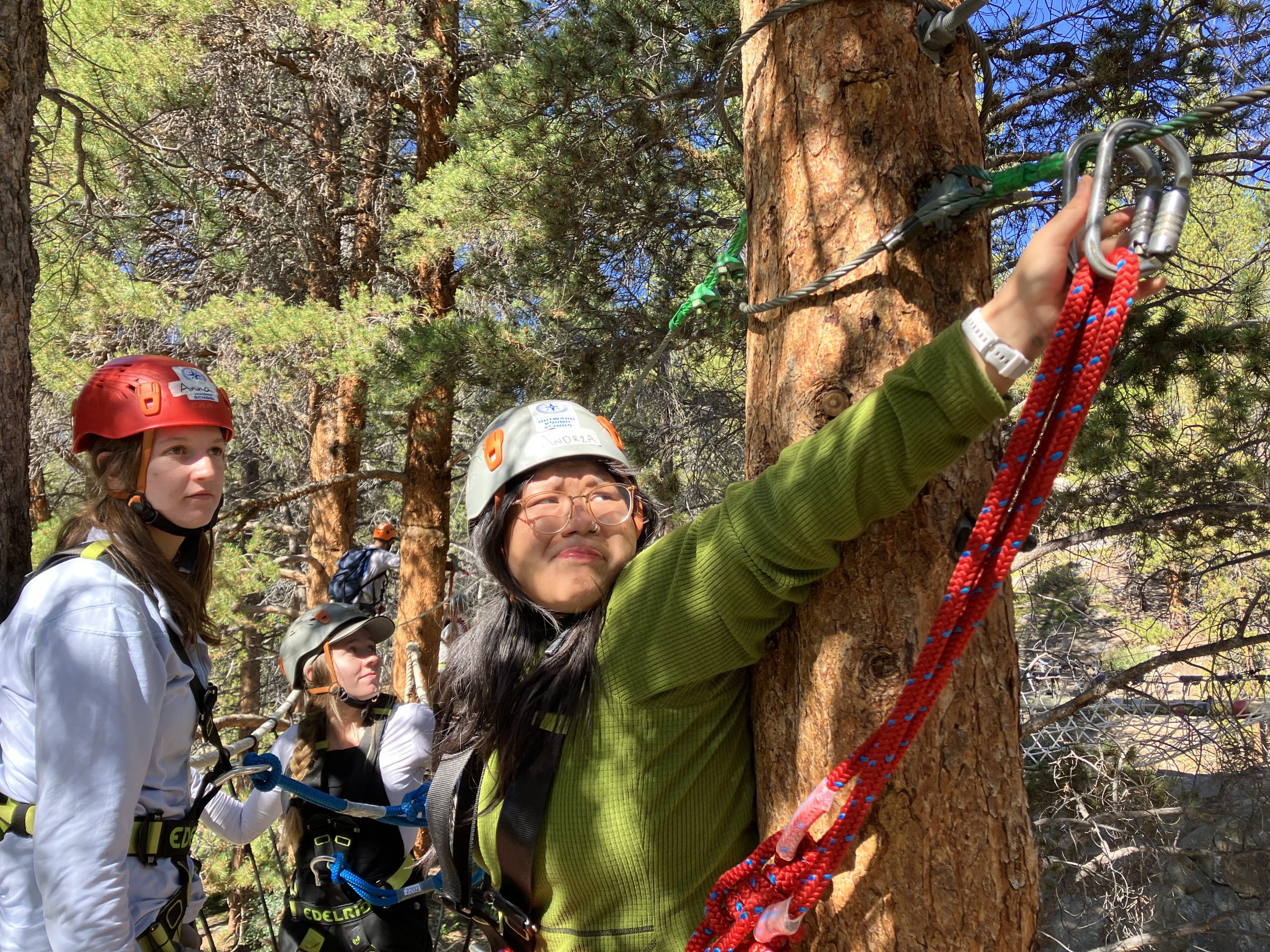 Partnership Highlights: Growing the COBS Community in 2023 - COBS Blog