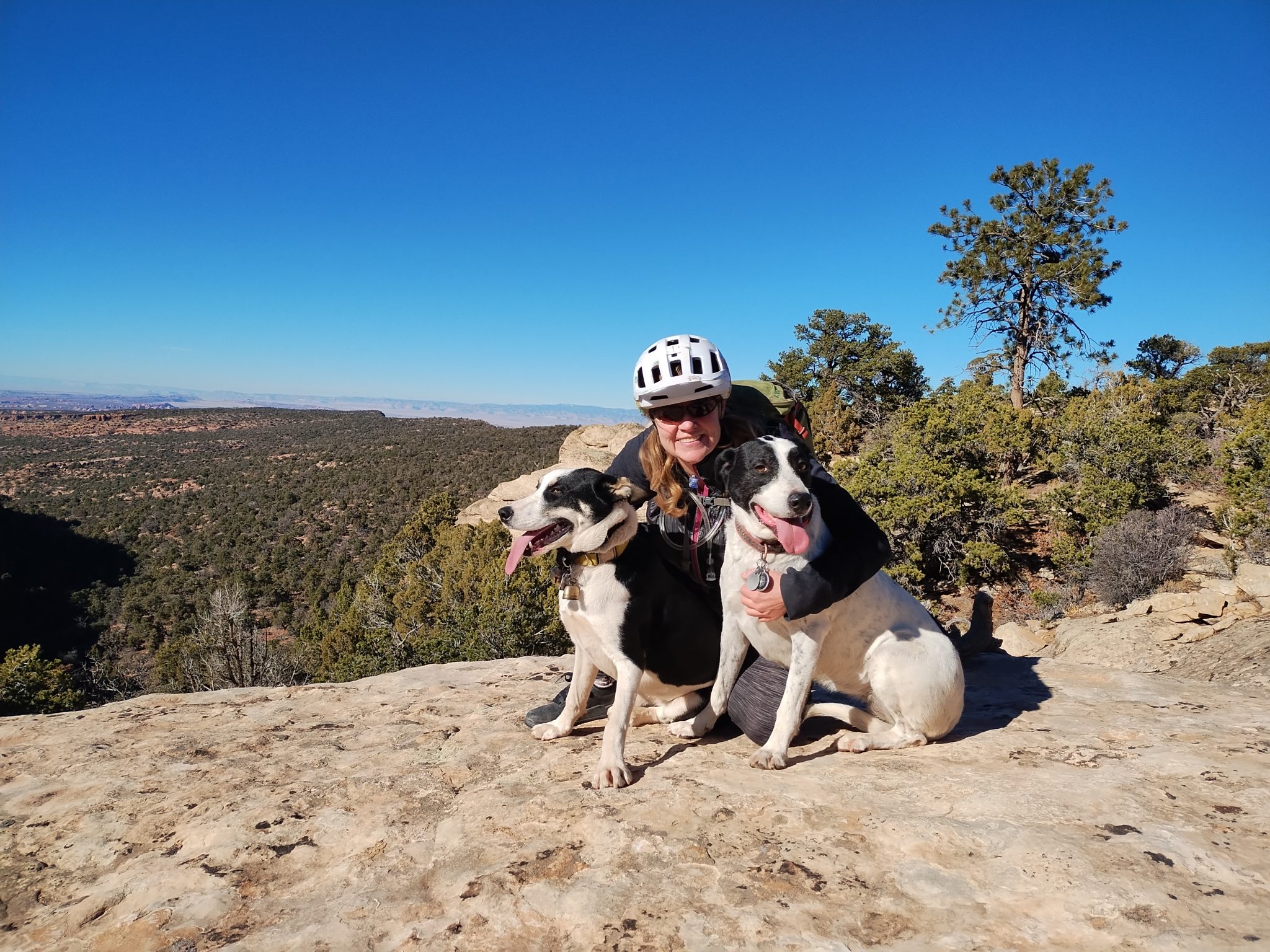 Staff Highlight: Megan Macomber Receives Award for Outstanding Service ...